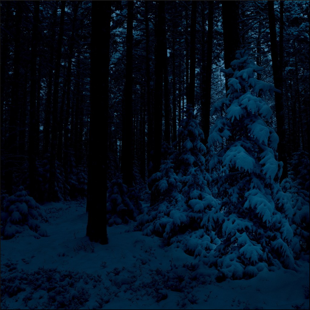 Skog, jord, klimat och de sju dödssynderna – 2 – LIV I FRI LUFT